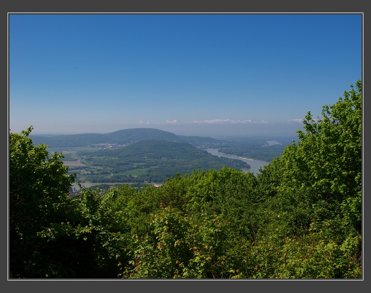 Toulky Malé Karpaty, Vysoká, Devínská Kobyla (květen 2012)
